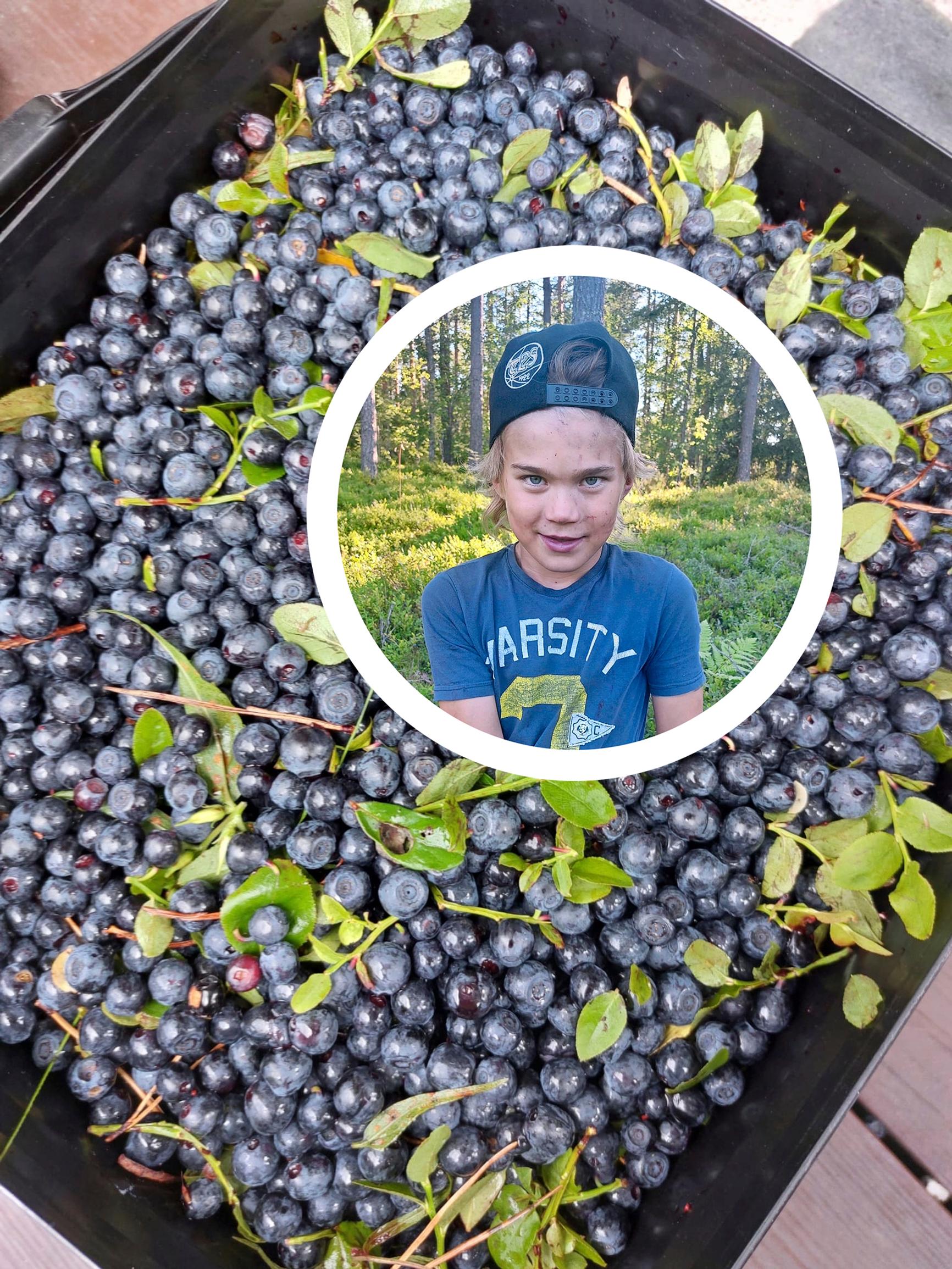 Eemil, 10, hurahti mustikanpoimintaan | Meidän Mökki