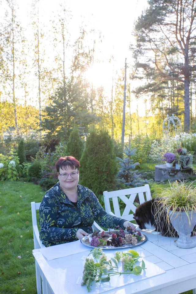Maksaruoho – vinkit kasvatukseen ja lajikkeisiin | Viherpiha