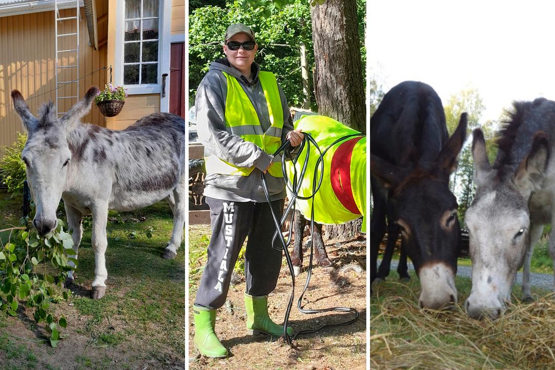 Virve Oksasen aasit mökillä | Meidän Mökki