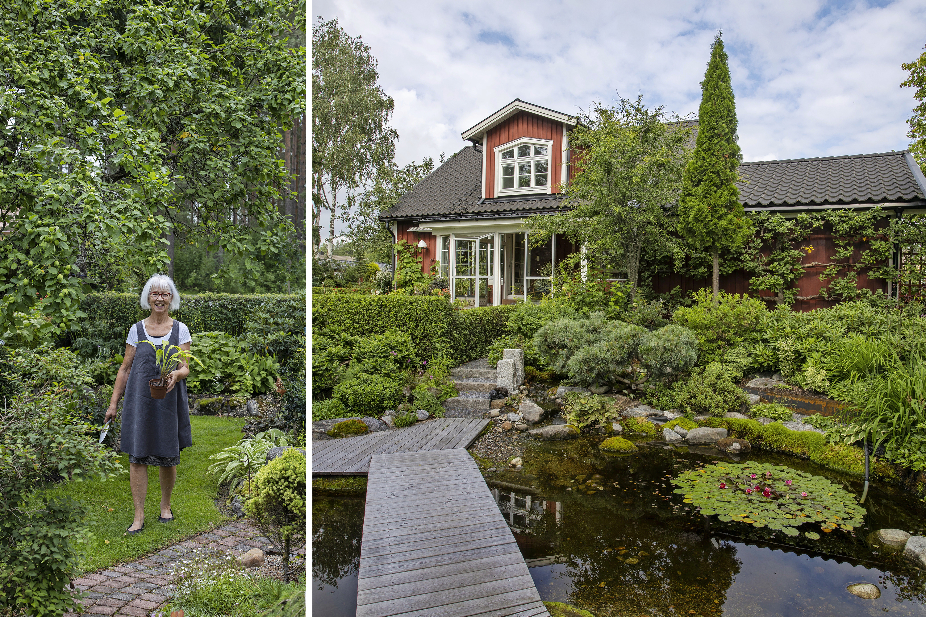 Barbro Lindholmin puutarha Ruotsissa | Viherpiha