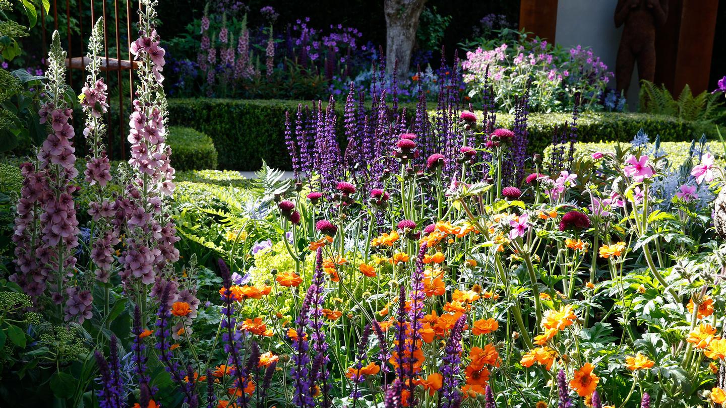 Ihanat puutarhat – lue tarinat ja poimi ideat | Meillä kotona