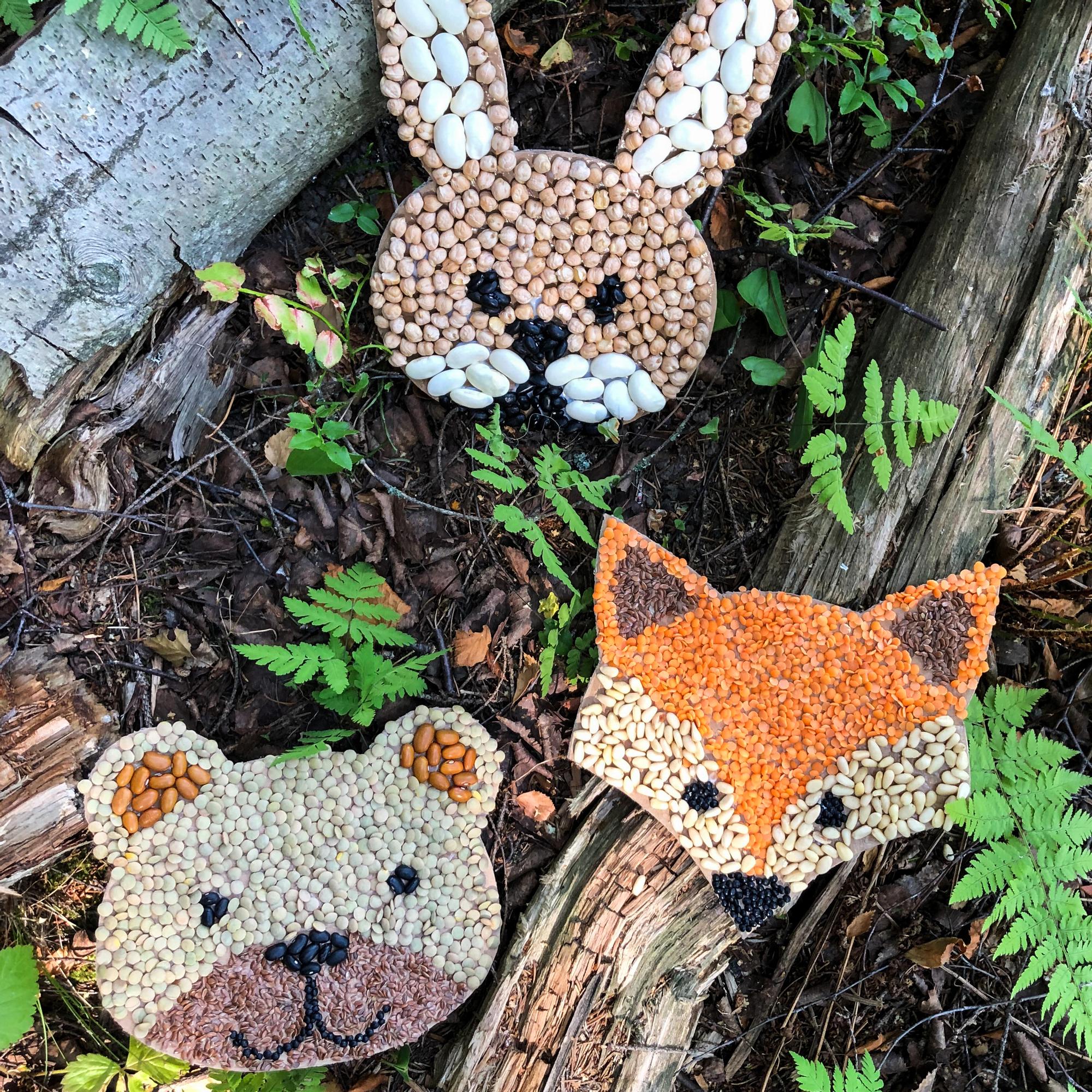 Pavut ja linssit – maistuvimmat papu- ja linssireseptit | Kotona