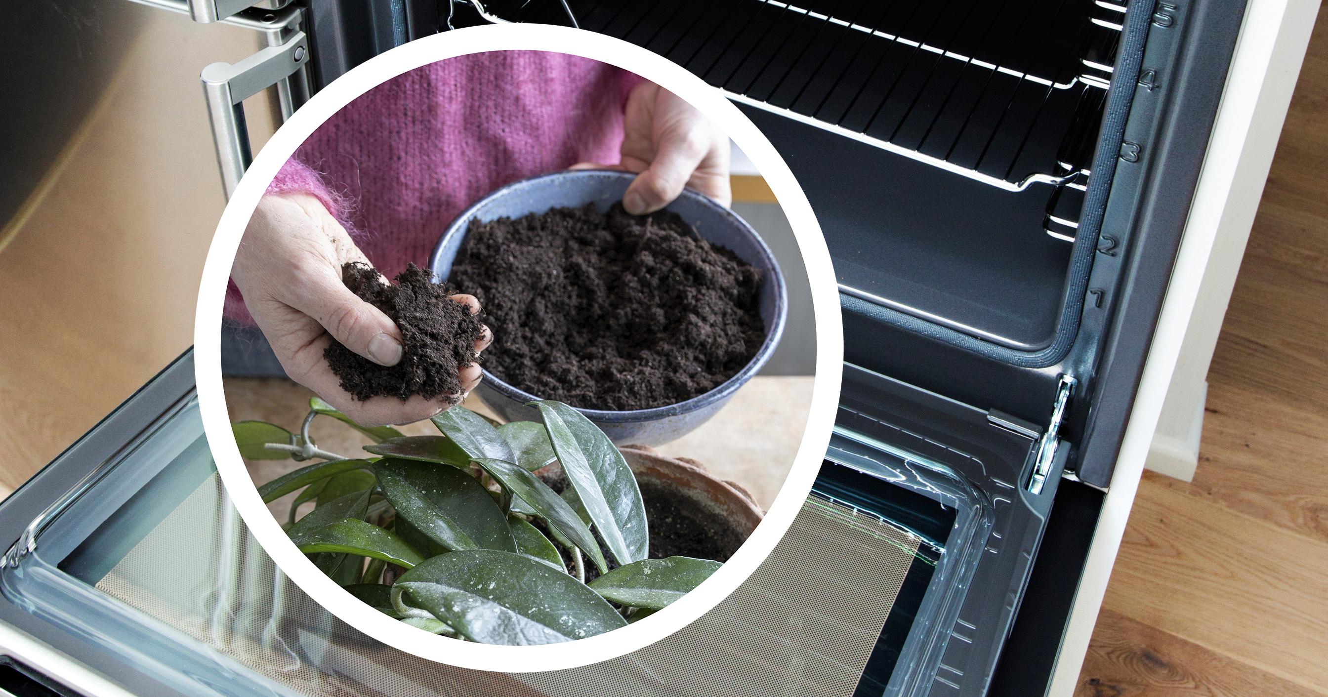 Viherkasvien mullan ”uunitus” ei kannata | Meillä kotona