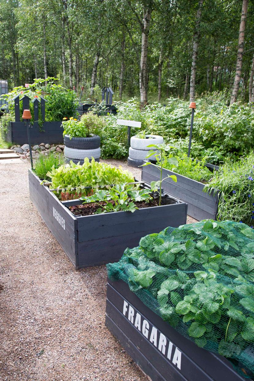 Kasvimaan perustaminen – 3 erilaista tapaa | Viherpiha