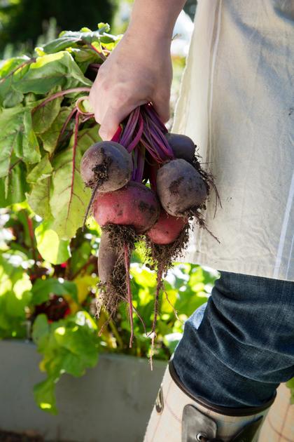 Kasvimaan perustaminen – 3 erilaista tapaa | Viherpiha