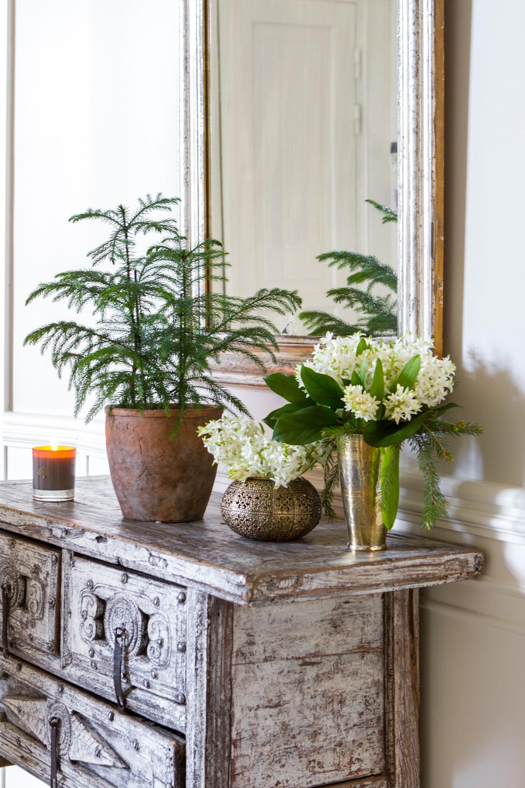 Huonekuusi – 9 ideaa asetelmiin | Kotona