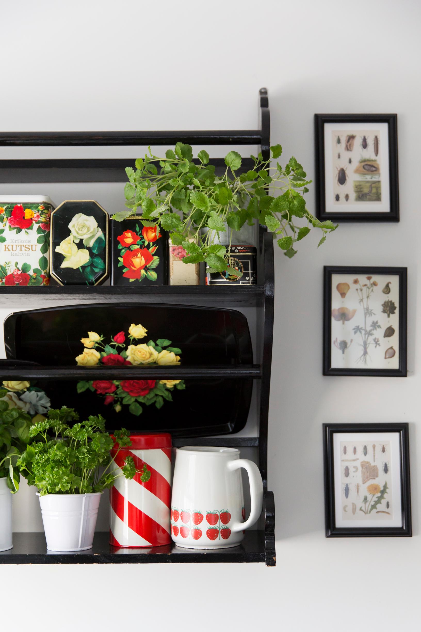 Annen perheen Talo on pirteän turkoosi | Unelmien Talo&Koti