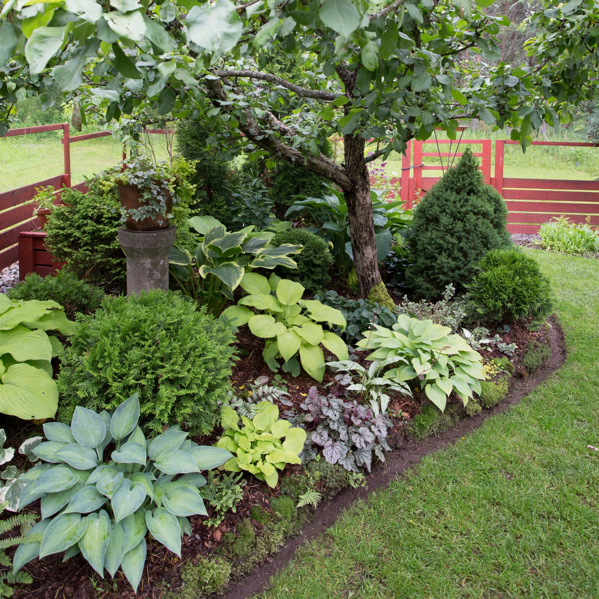 Lehtimuodot puutarhassa | Meillä kotona