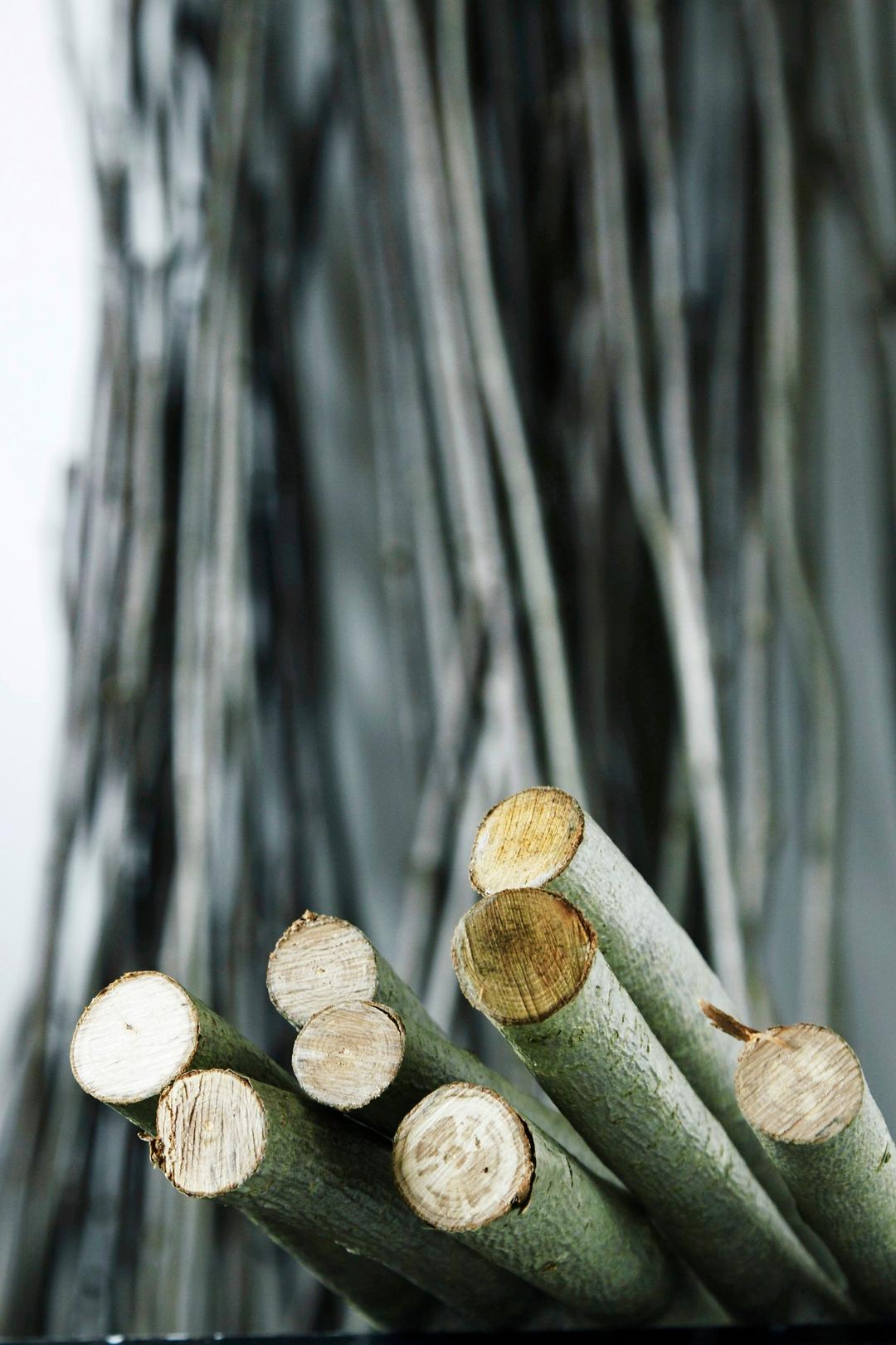 Tilanjakaja oksista – sermi syntyi pihalta raivatuista oksista | Meidän ...