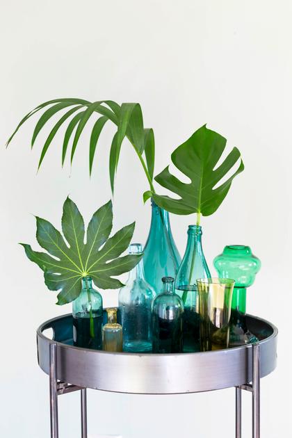 Viherkasvit maljakossa | Viherpiha