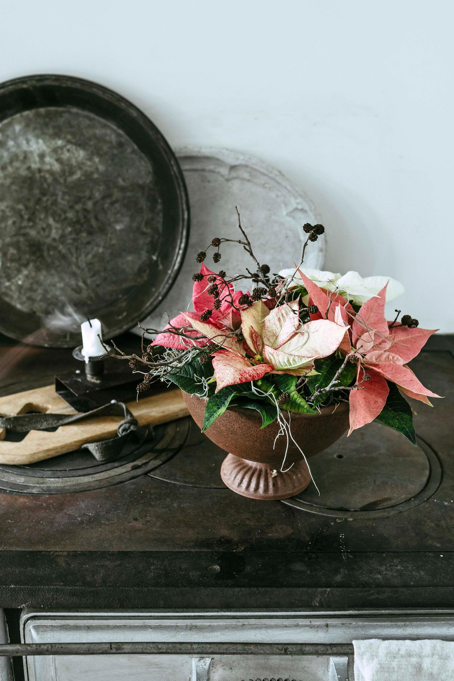 14 x kaunis joulukukka-asetelma – katso ideat! | Meillä kotona