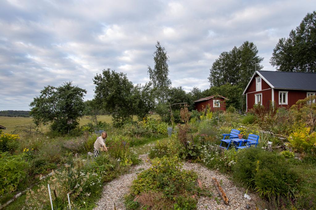 Kasvimaa – parhaat vinkit herkulliseen satoon | Meillä kotona
