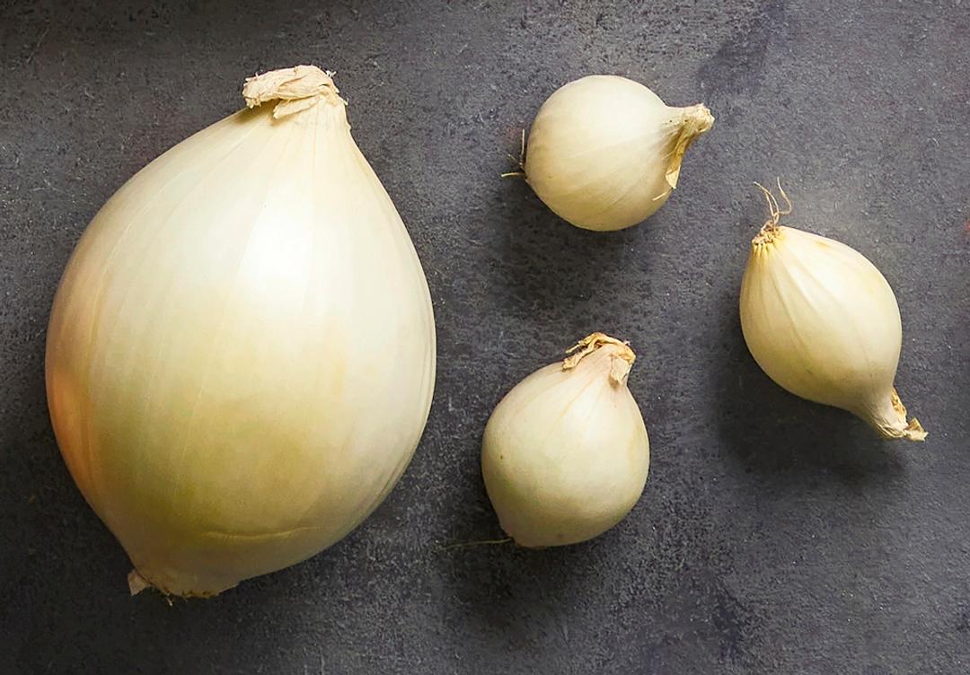 Sipuli: käyttövinkit, eri lajikkeet ja parhaat reseptit! | Maku