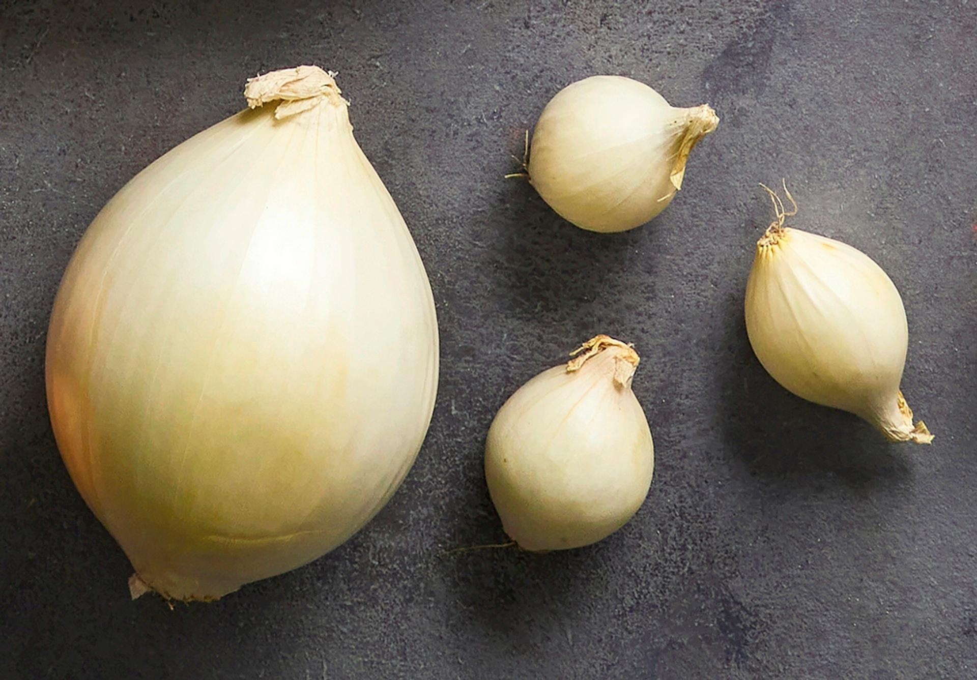 Sipuli: käyttövinkit, eri lajikkeet ja parhaat reseptit! | Maku