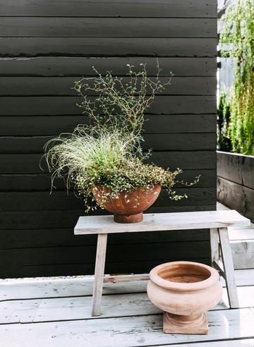 Syyskukat | Meillä kotona