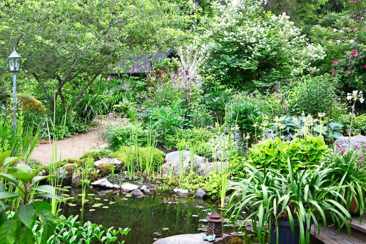 7 puutarhaa, joiden et uskoisi sijaitsevan Suomessa | Meillä kotona