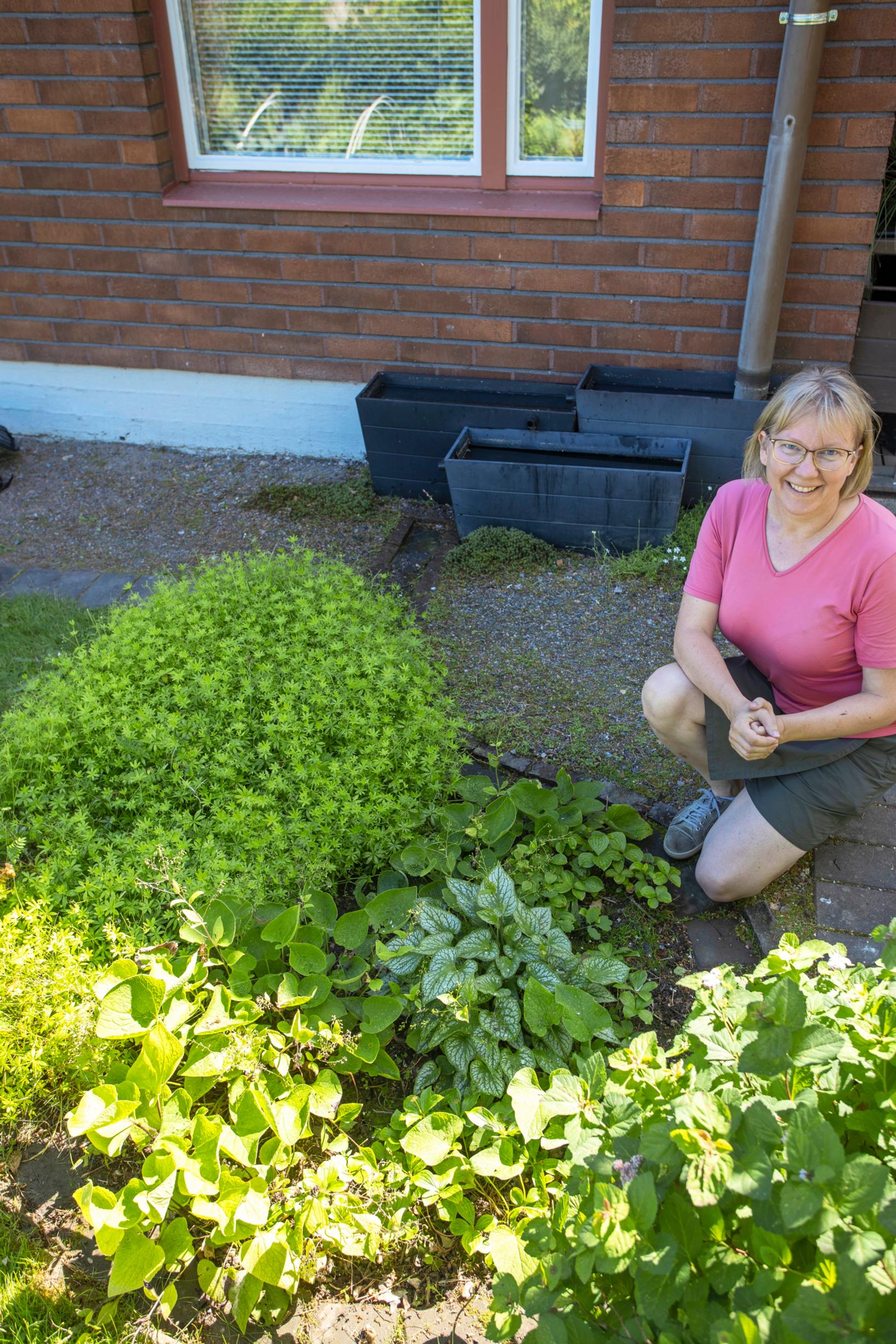 Varaudu rankkasateisiin pihalla – viisaat vinkit | Viherpiha