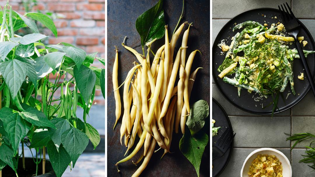 Pavut ja linssit – maistuvimmat papu- ja linssireseptit | Kotona