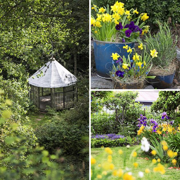 12 puutarha- tai kasvipuuhaa, jotka piristävät juuri nyt | Kotona