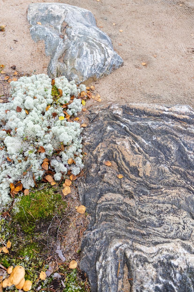 Aimo Taljavirran puumaja Oulujärvellä | Meidän Mökki