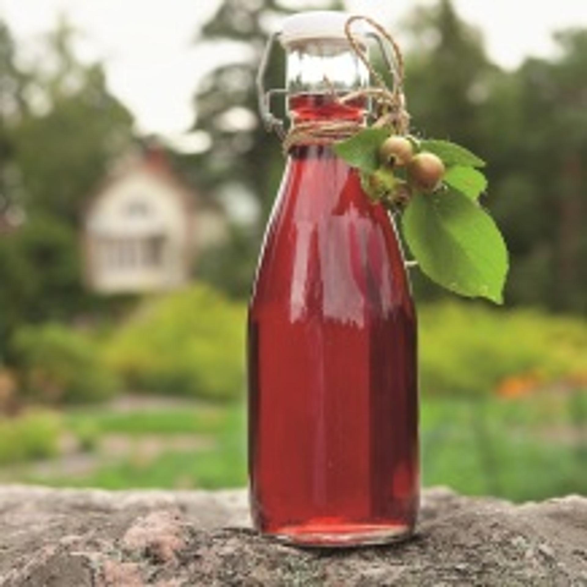 Omenahillo – katso ohje! | Kotona