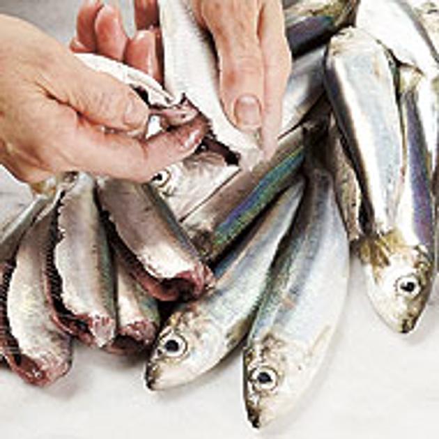 Kalakoulu: silakka | Maku