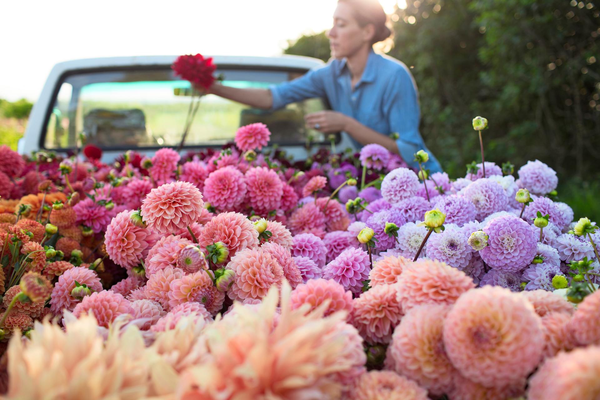 Floret Flower Farm: Erin Benzakeinin tarina | Viherpiha