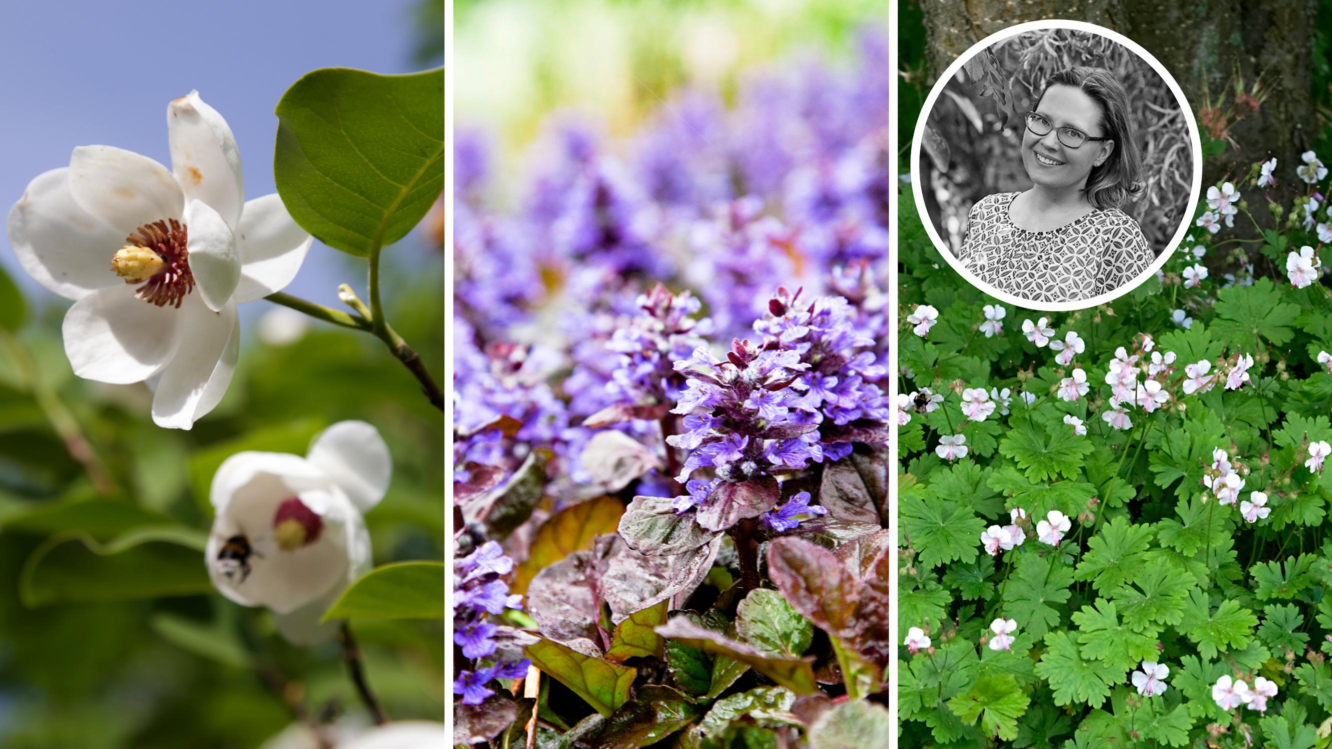 Hukkatila puutarhassa: pihasuunnitelma kapeaan kohtaan | Viherpiha