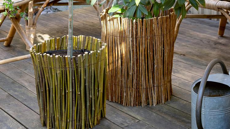 Puutarhan kasvit – hoito-ohjeet ja ihanat ideat | Kotona