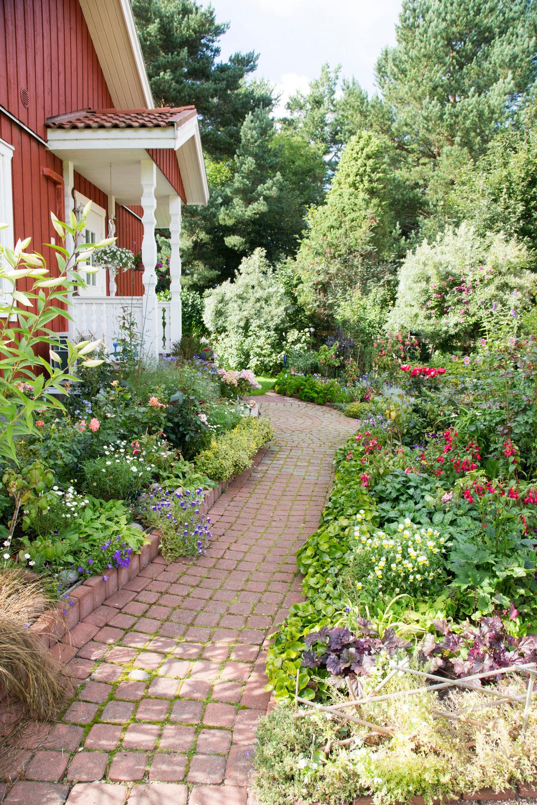 Heinäkuu puutarhassa – tee nämä asiat nyt! | Meillä kotona