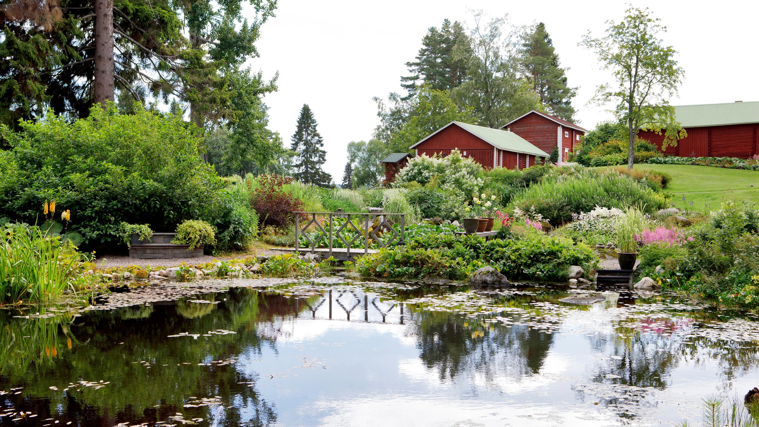 Rehevä puutarha kivisellä savimaalla | Viherpiha