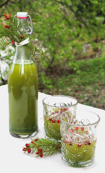 Kombucha-sima – helppo resepti | Meillä kotona