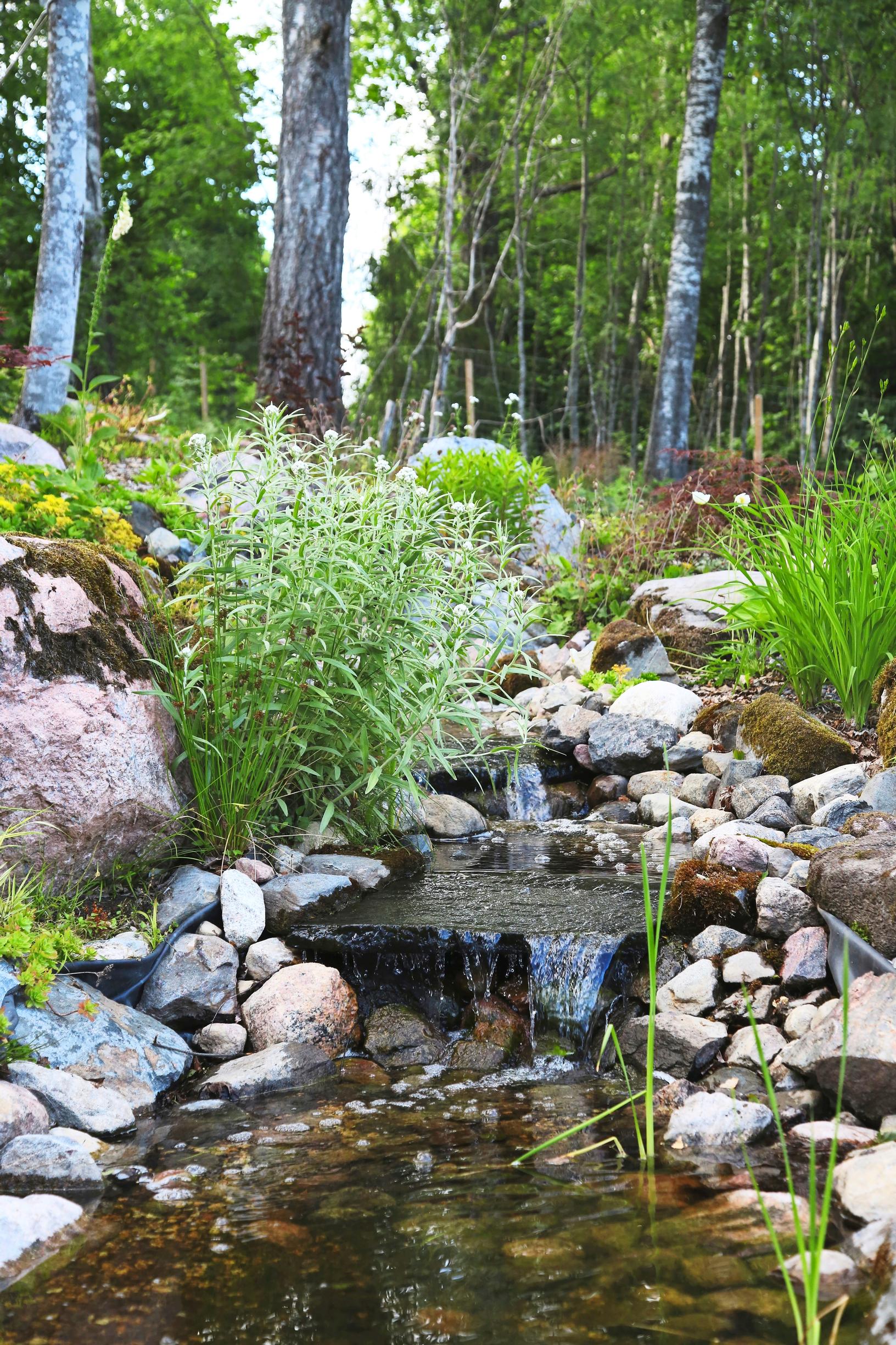 Kuivan maan tontille rakennettu lampi ja hiekkaranta | Meidän Talo