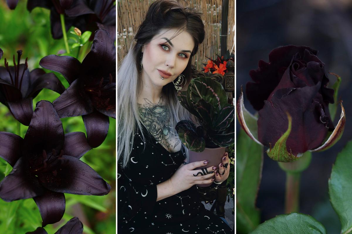 Ida-Emilia Kaukosen goottipuutarha | Kotona