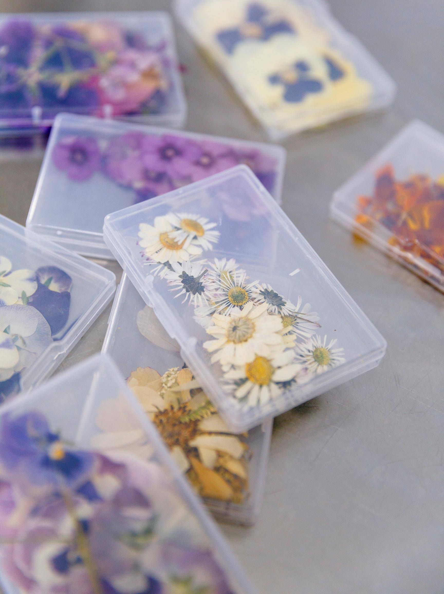 Kakkusankari Terhi Toikka loihtii huikeita kukkatekstuurikakkuja | Maku