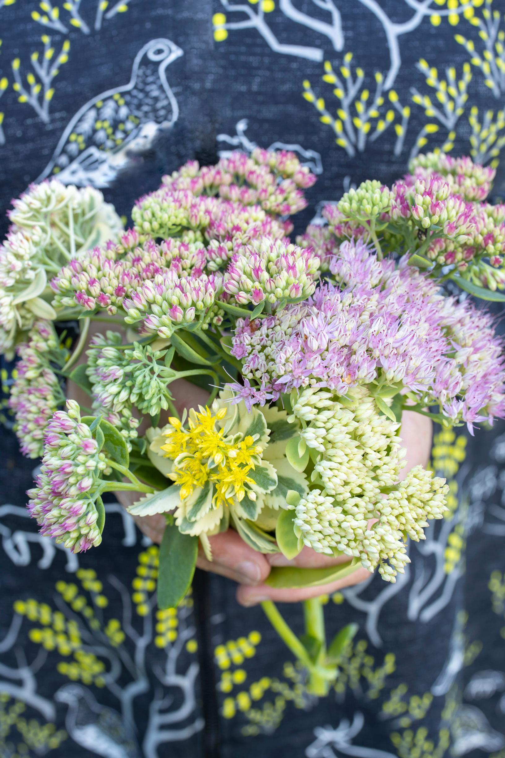 Maksaruoho – vinkit kasvatukseen ja lajikkeisiin | Viherpiha