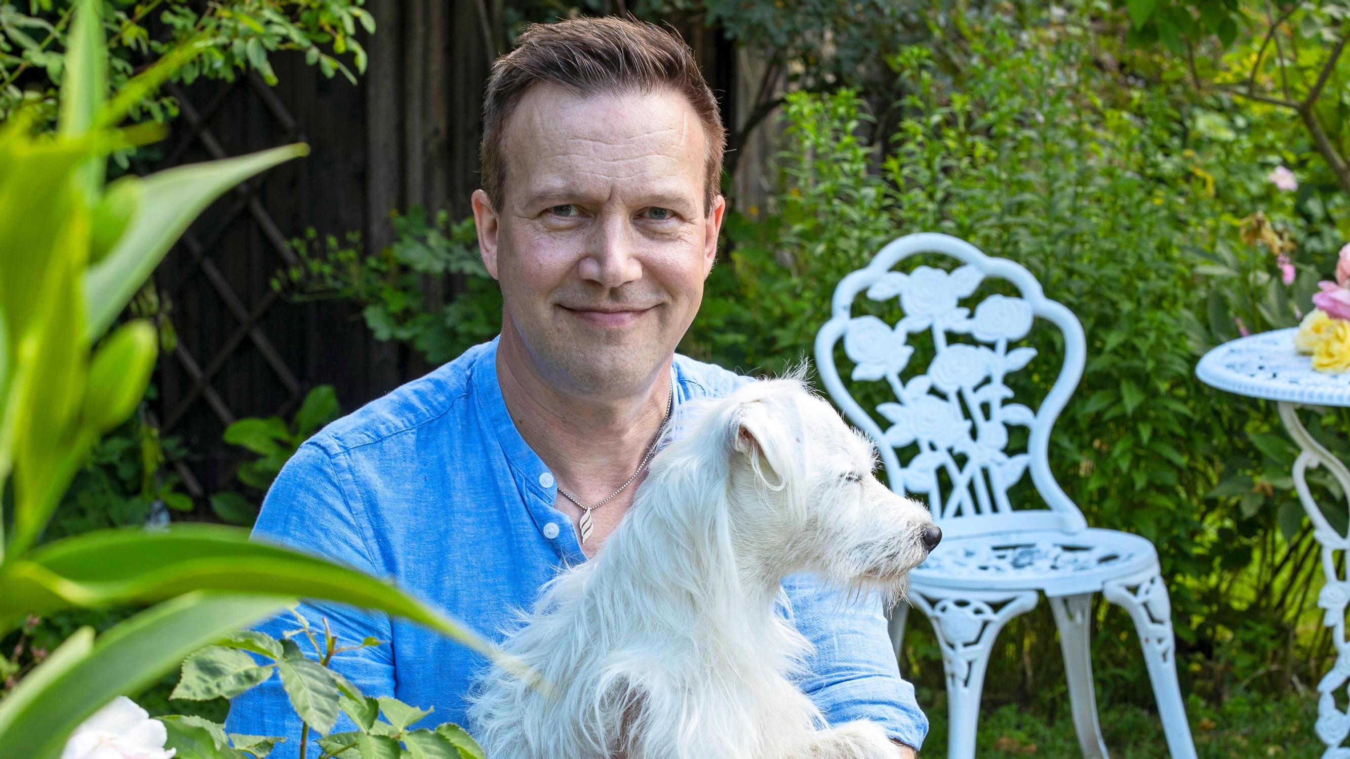 David Austin -ruusut Jukan mökkipuutarhassa | Viherpiha