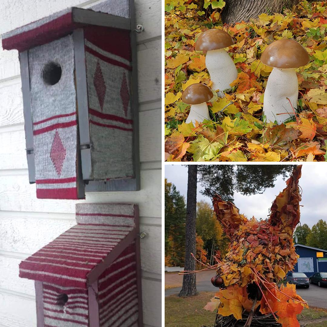 Betoniset tatit ja muita ideoita syyspihan askarteluihin | Kotona