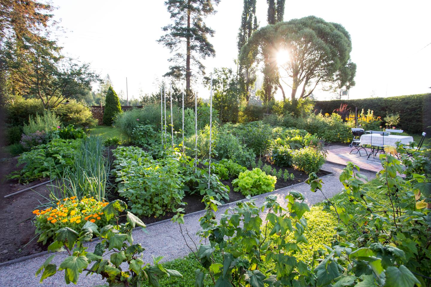 Kauneimmat kasvimaat | Meillä kotona