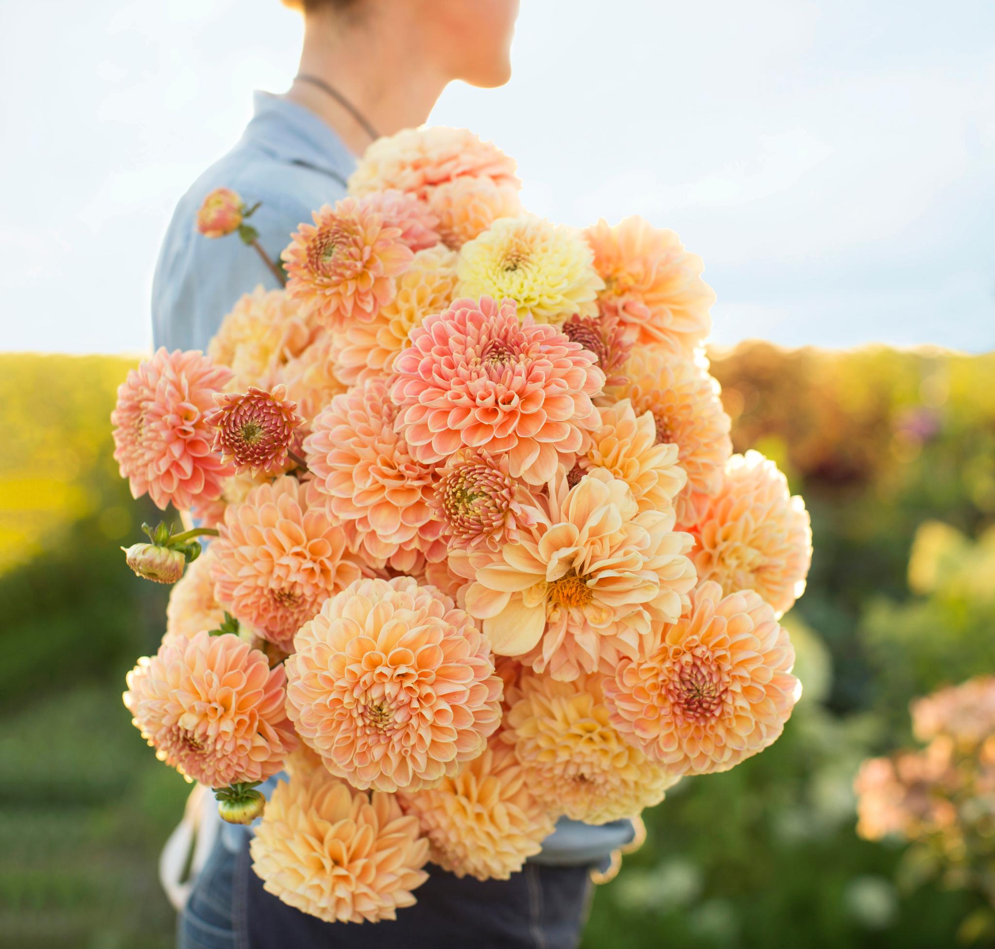 Floret Flower Farm: Erin Benzakeinin tarina | Viherpiha