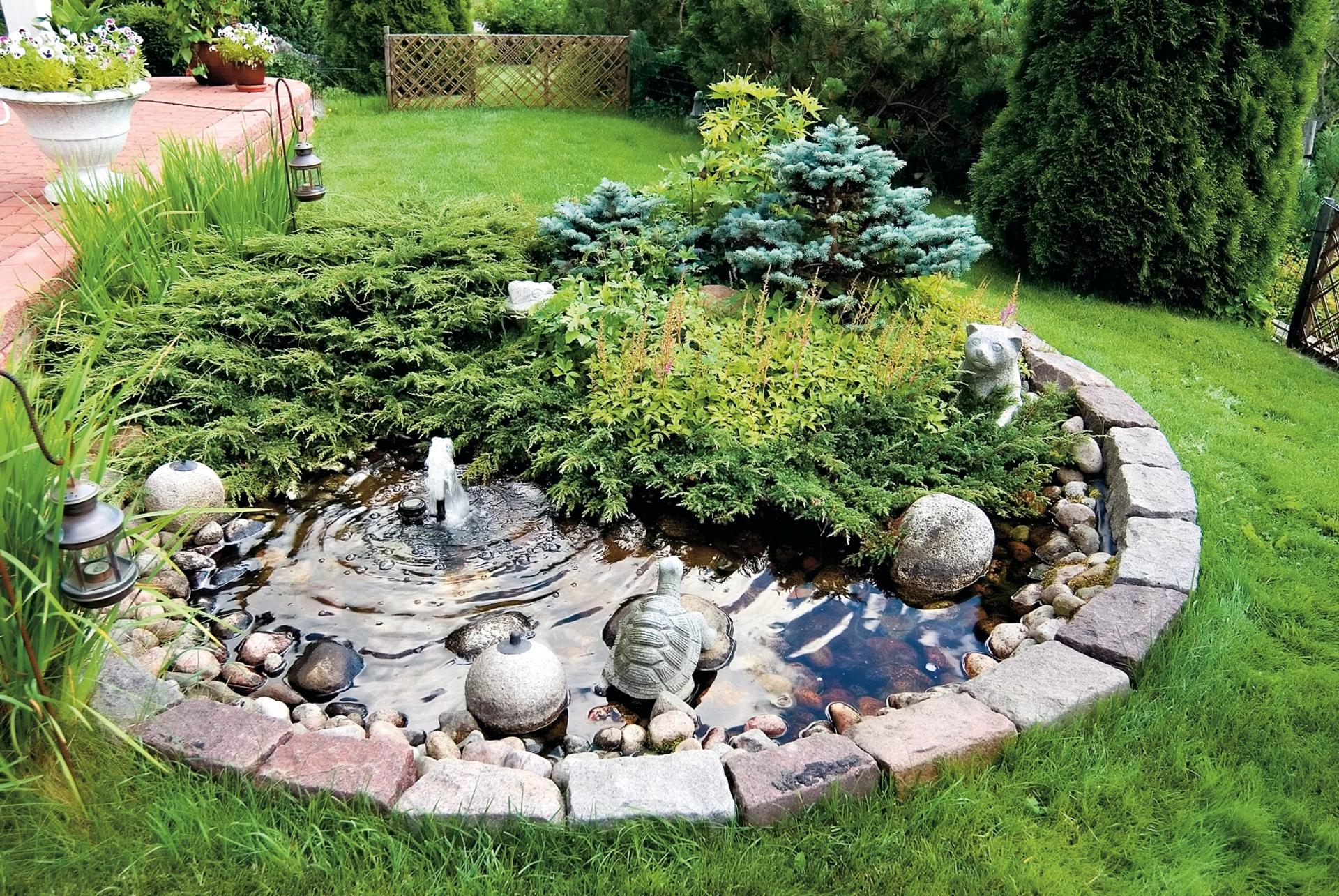 Tuivio: kasvatus, hoito ja istutusideat | Kotona