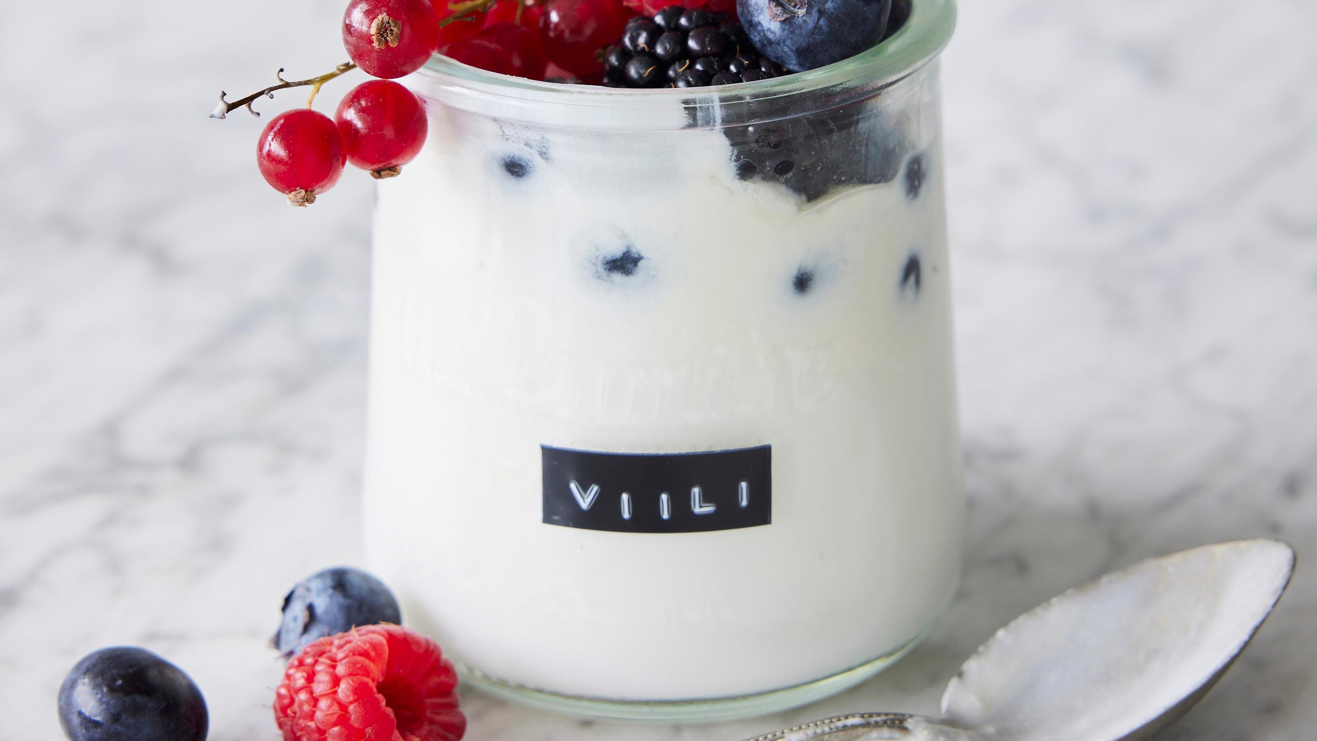 Viili – katso helppo resepti! | Maku