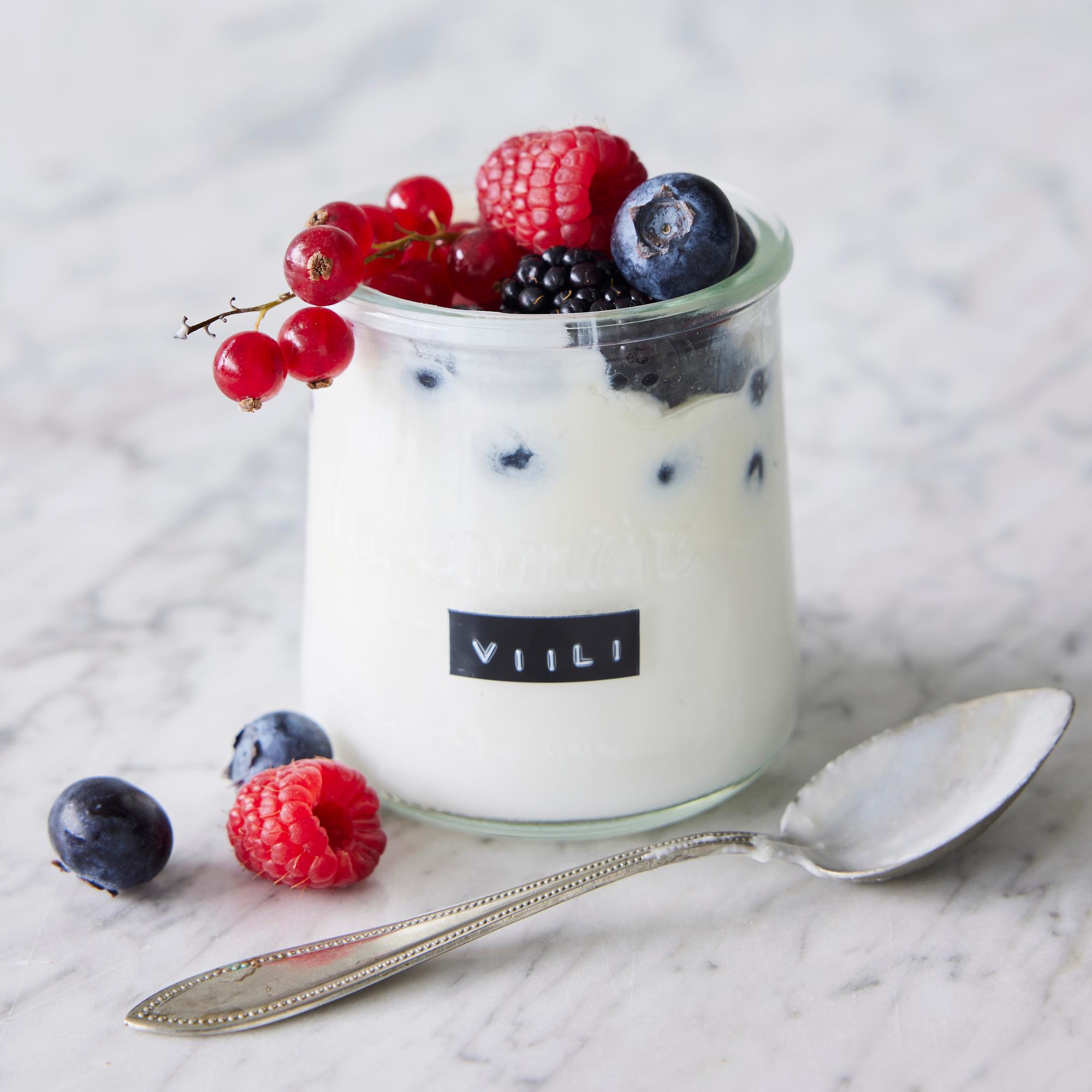 Viili – katso helppo resepti! | Maku