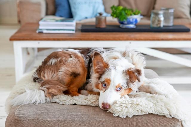 Keimolan vanha kyläkoulu | Unelmien Talo&Koti