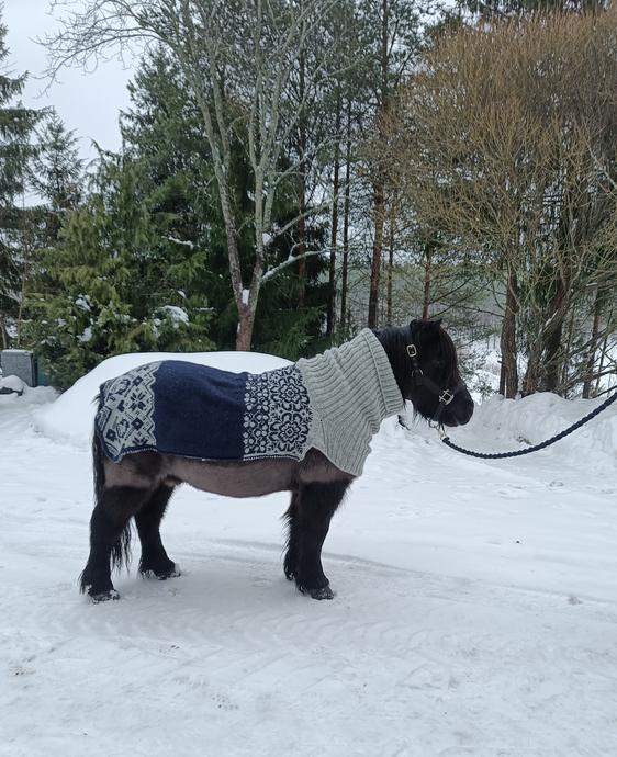 Villaloimi ponille | Meillä kotona