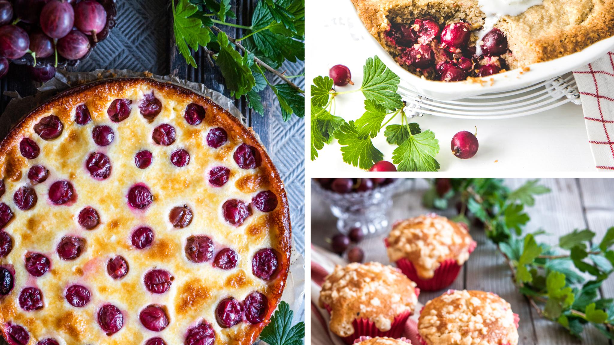 Punaherukka – 12 reseptiä | Meillä kotona