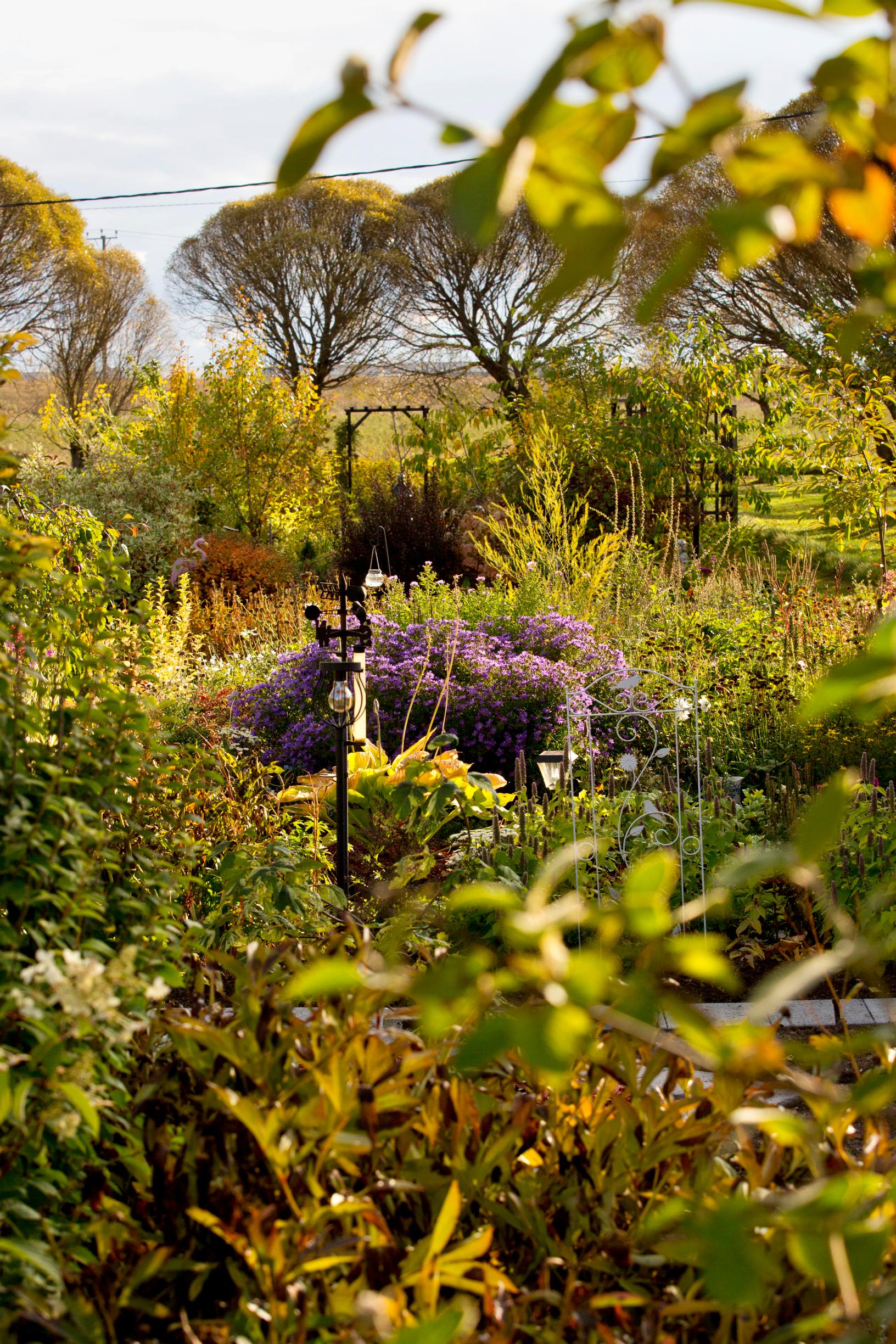 Helyn syyspuutarha on yhtä värien juhlaa | Viherpiha