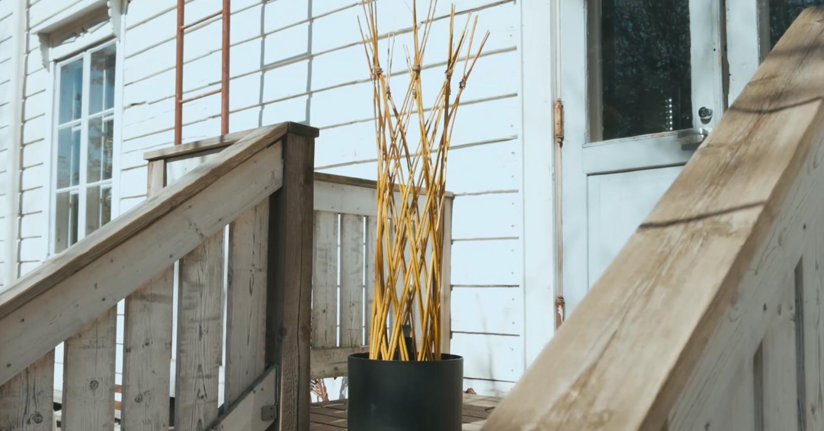 Belgialainen pajupuu – katso ohje! | Meillä kotona