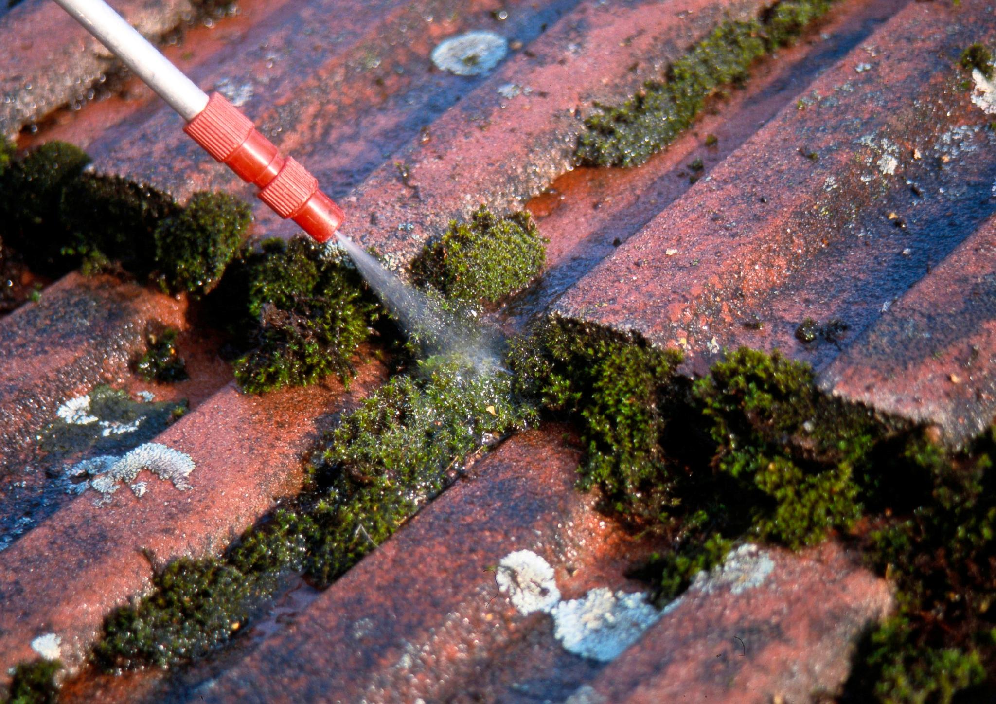 Sammaleen poisto katolta | Meidän Mökki