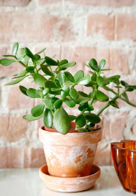 Rahapuun hoito | Meillä kotona